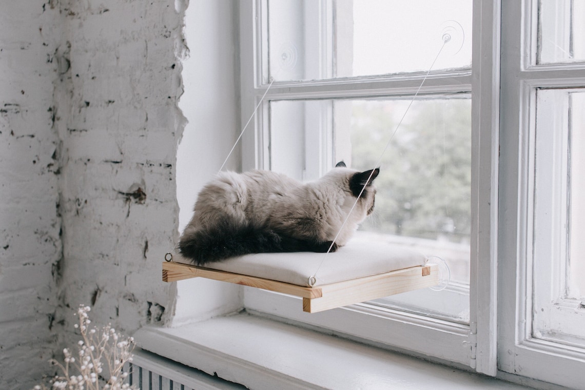 Cat Window Seat Made From Natural Ecological Recycled Wood With ...