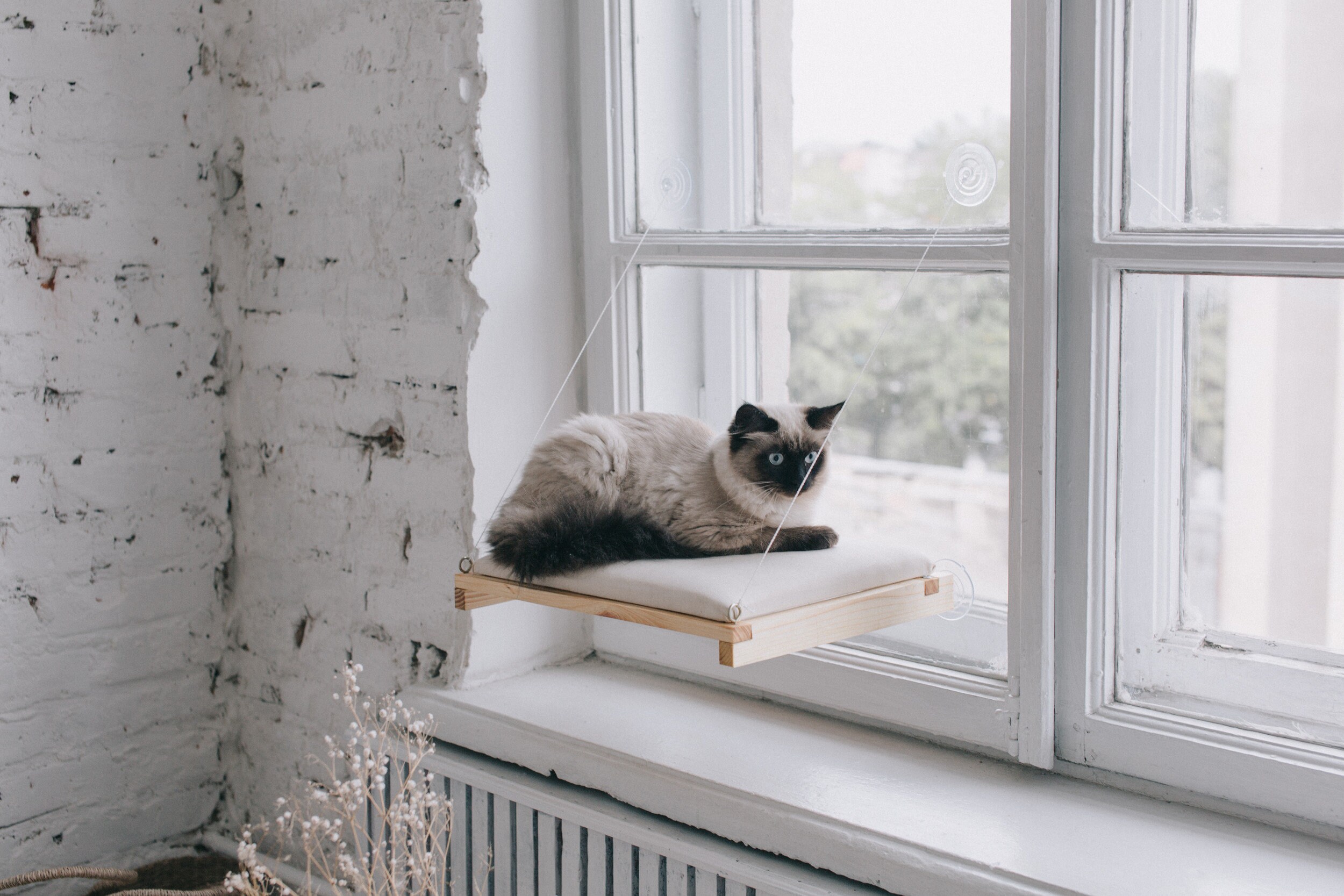 Cat Window Seat Made From Natural Ecological Recycled Wood With ...