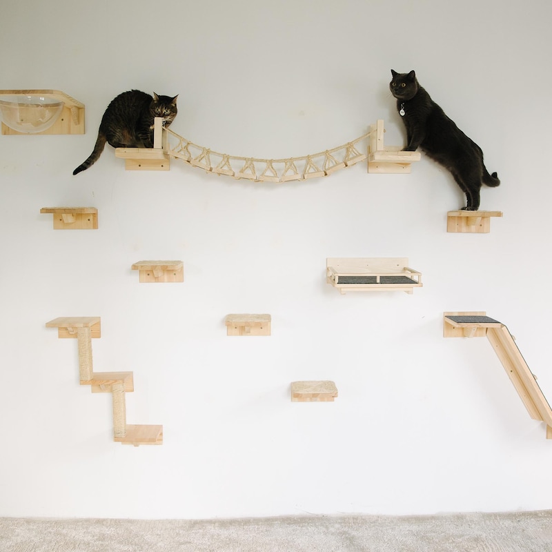 Cat Climbing Wall - Etsy
