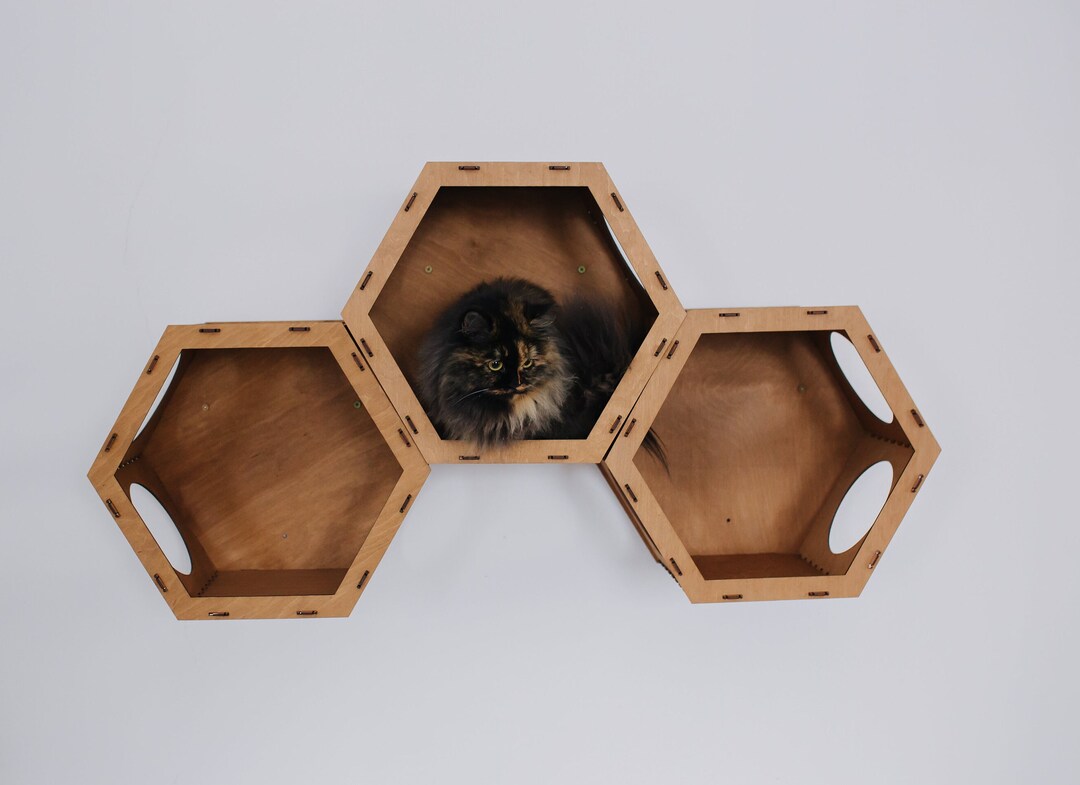 Cat Hexagon Post With Hex Honeycomb Shelves in Minimalist Style, Cat ...