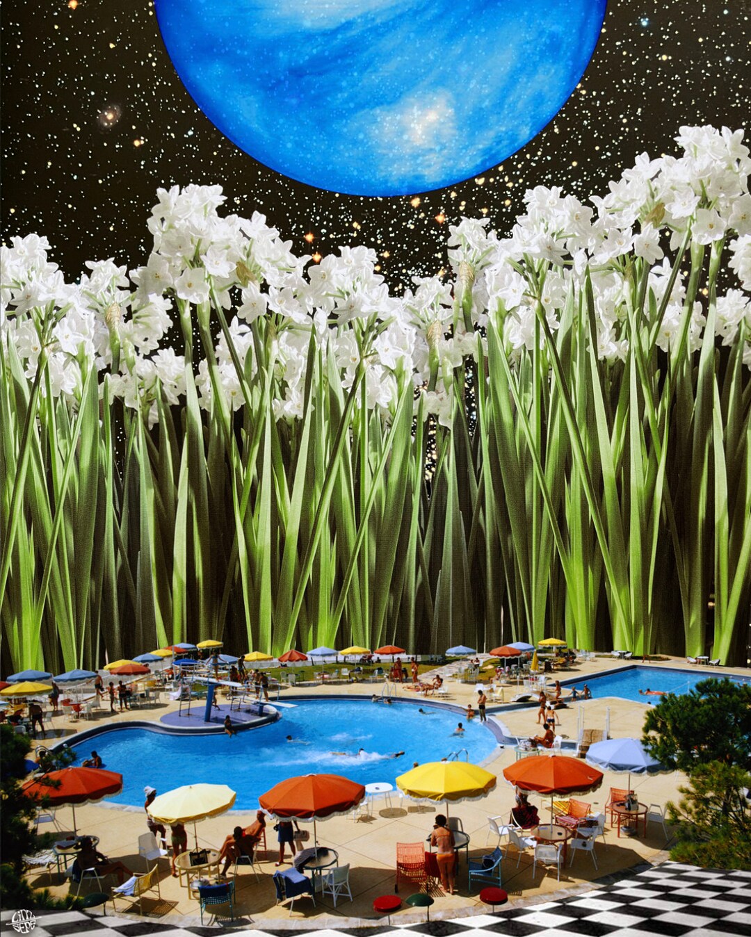 Night Swim Collage Art Print Multiple Sizes - Etsy