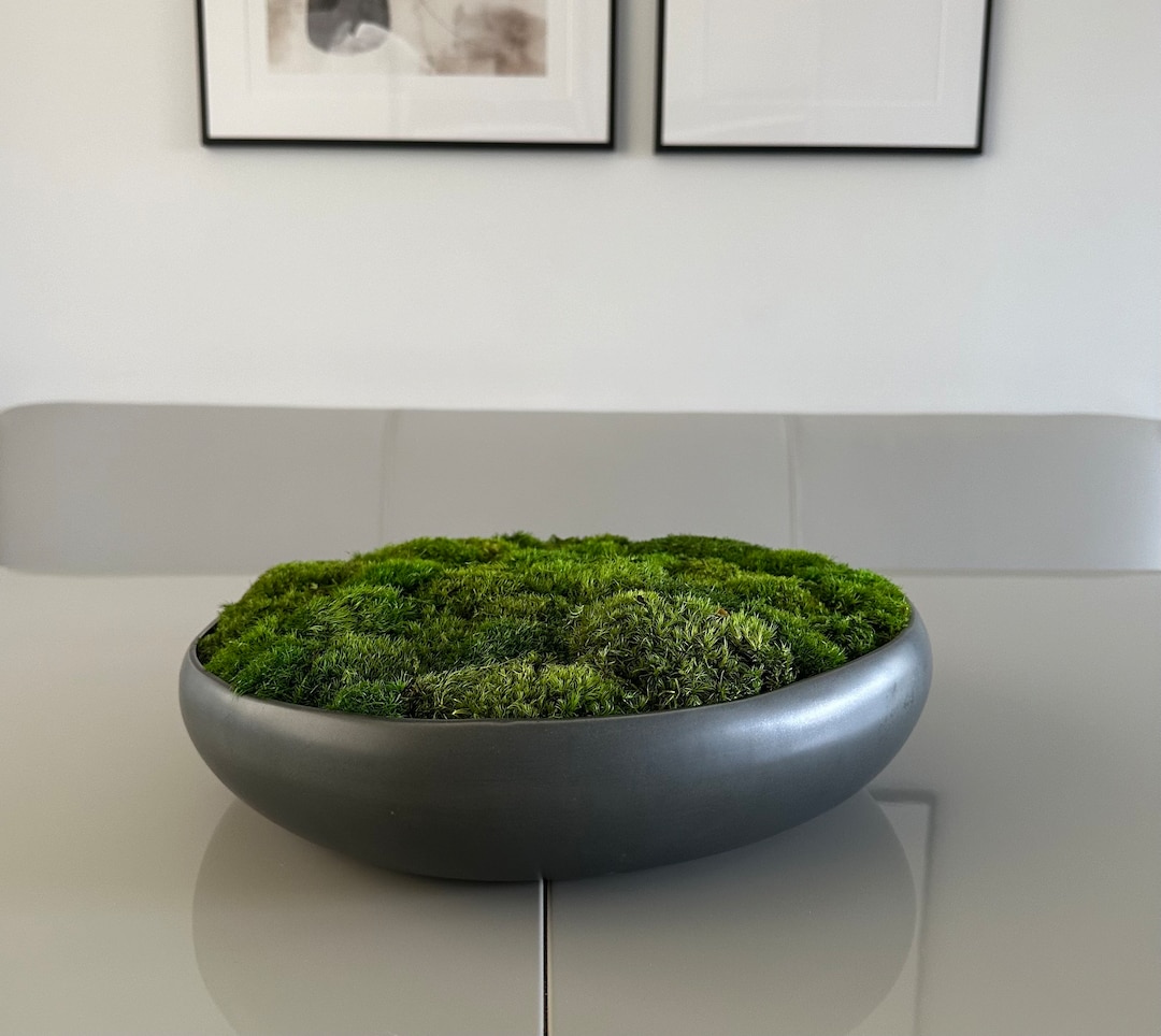 Moss Bowl Table Centrepiece Preserved Moss Bowl - Etsy UK
