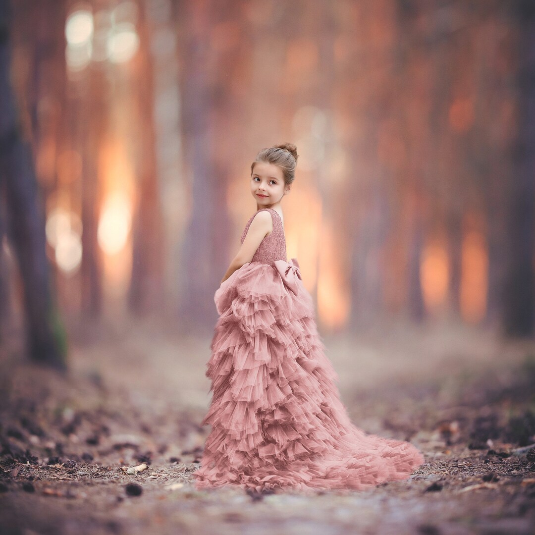 Sunset Forest Digital Background, Trees Backdrop, Dreamy Forest, Nature ...