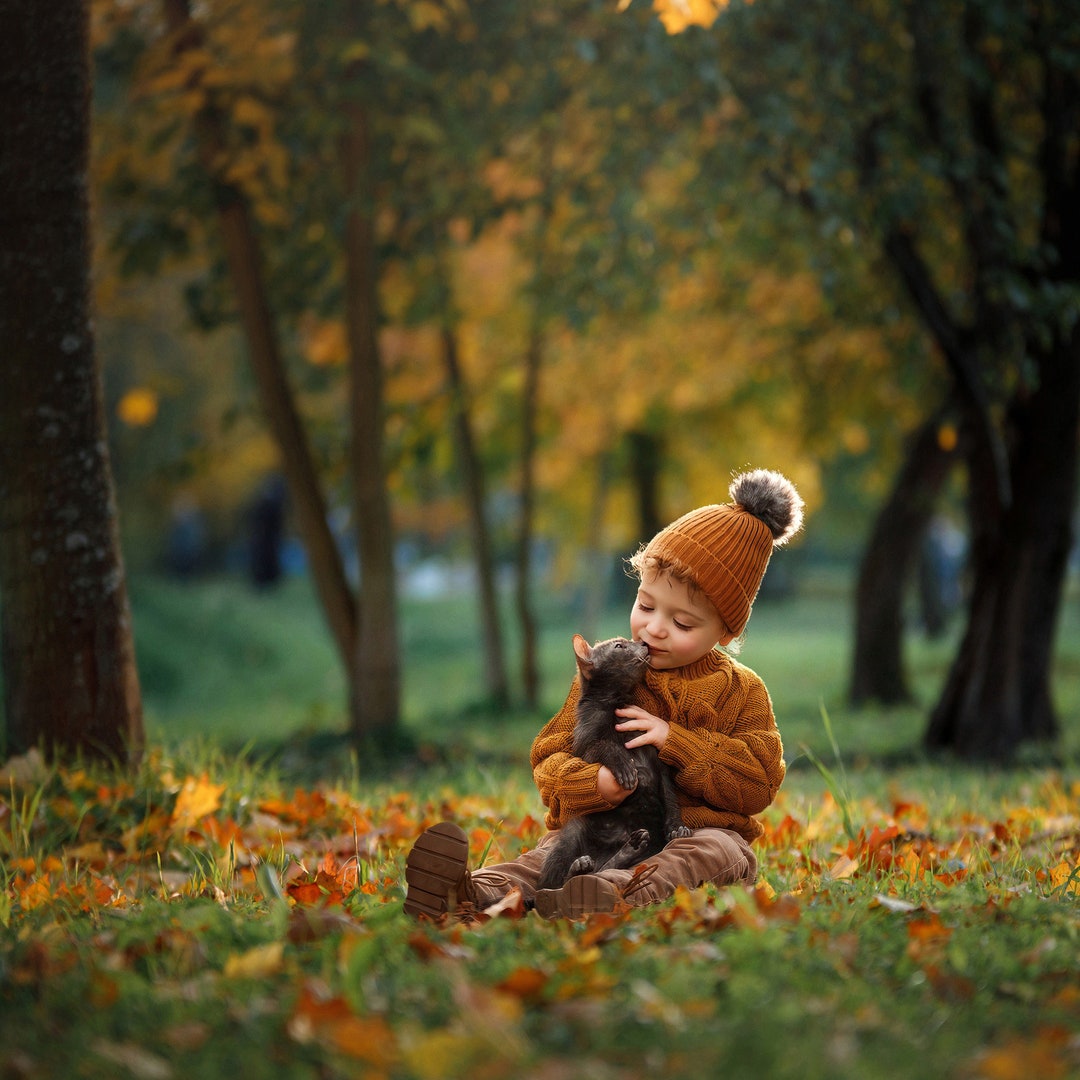 Autumn Leaves Digital Backdrop, Fall Park Background, Trees, Nature ...