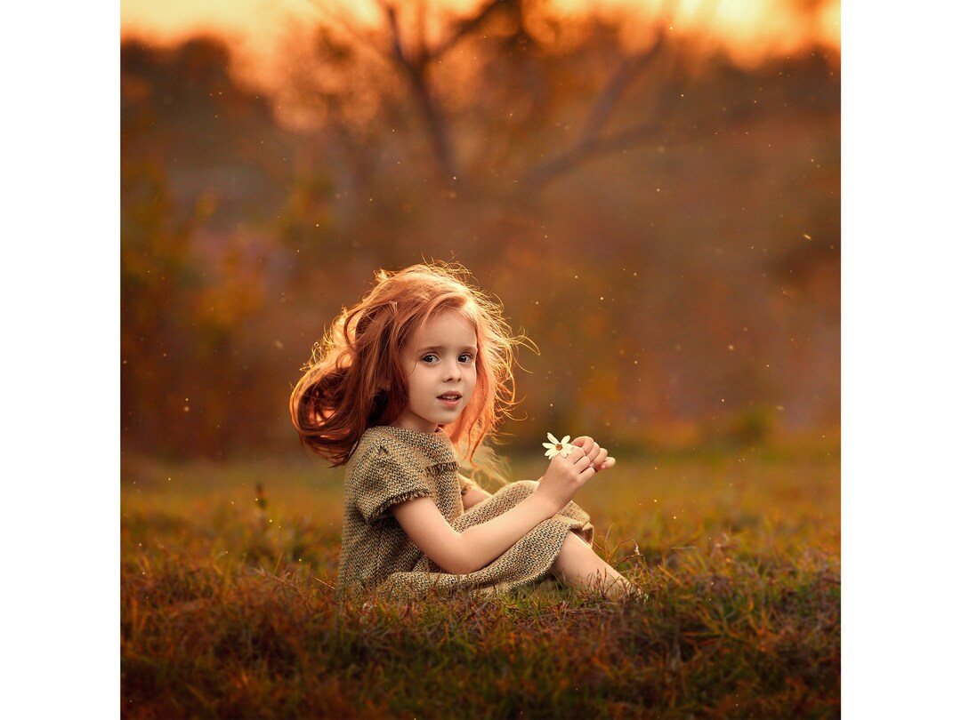 Sunset Summer Field Digital Backdrop, Golden Hour Background, Nature ...