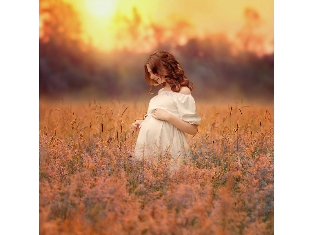 Sunset Summer Field Digital Backdrop, Golden Hour Background, Nature ...