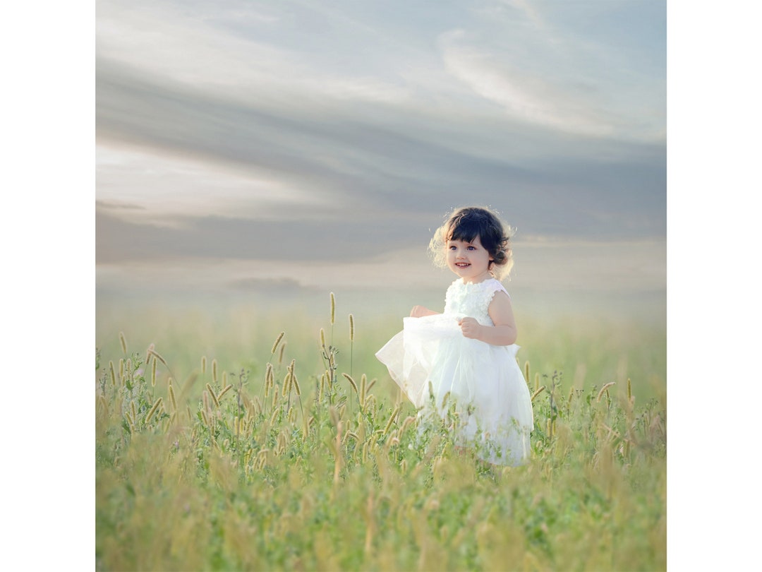 Green Field Digital Background, Summer Meadow Backdrop, Green Grass ...