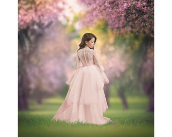 Spring Digital Photography Backdrop, Blooming Trees Background - Etsy