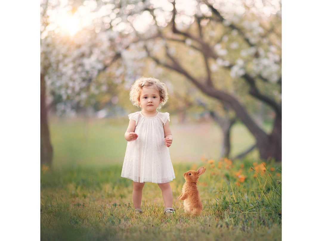 Spring Bunny Digital Background, Easter Background, Rabbit, Blossom ...