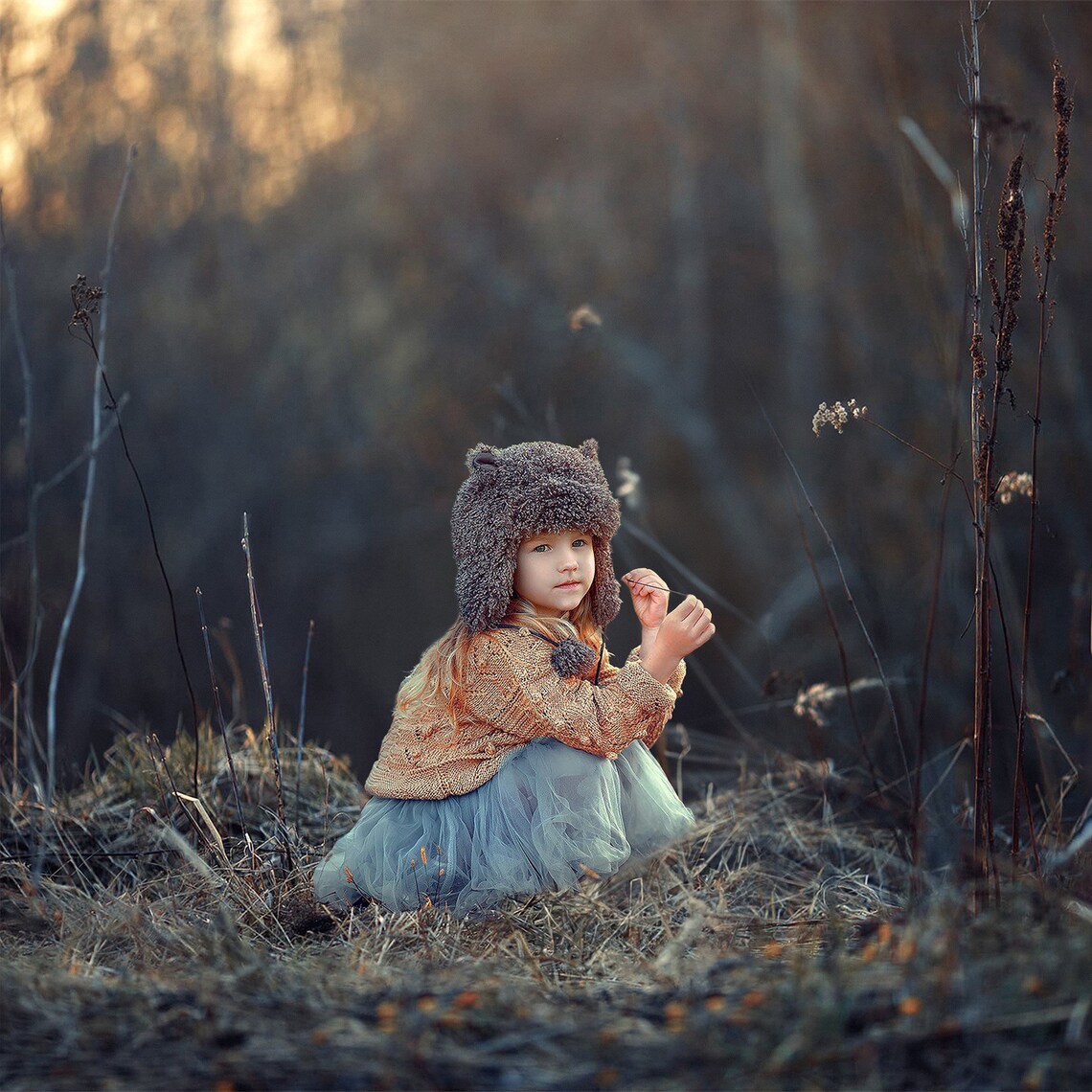 Autumn Background, Fall Digital Backdrop, Autumn Sun, Family Photo ...