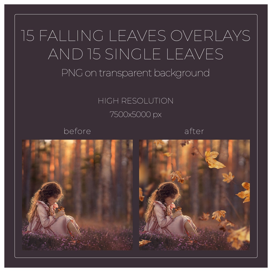 Falling Leaves Overlays, Autumn Leaf Photoshop Overlays, Autumn Clip ...