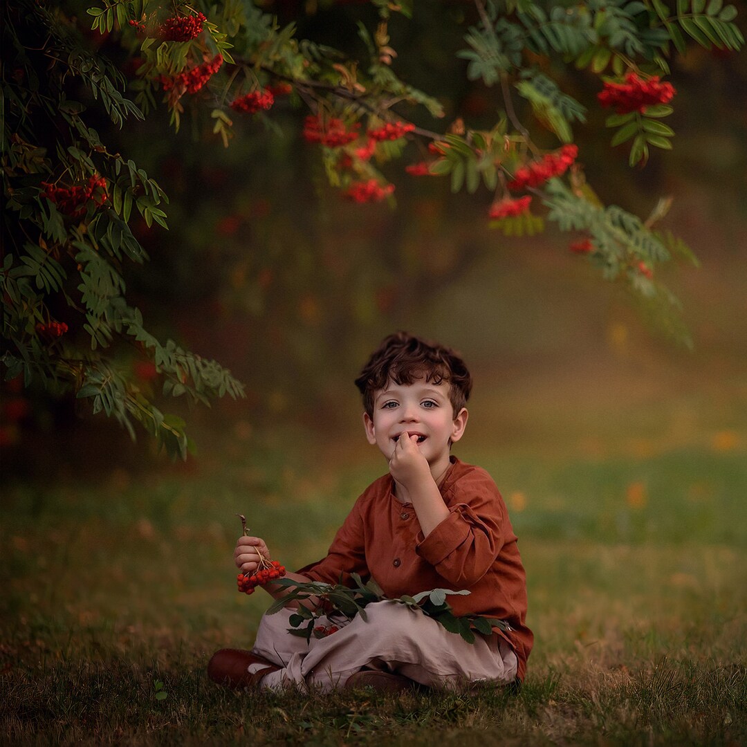 Rowan Digital Backdrop, Fall Background, Backdrop Autumn, Nature ...
