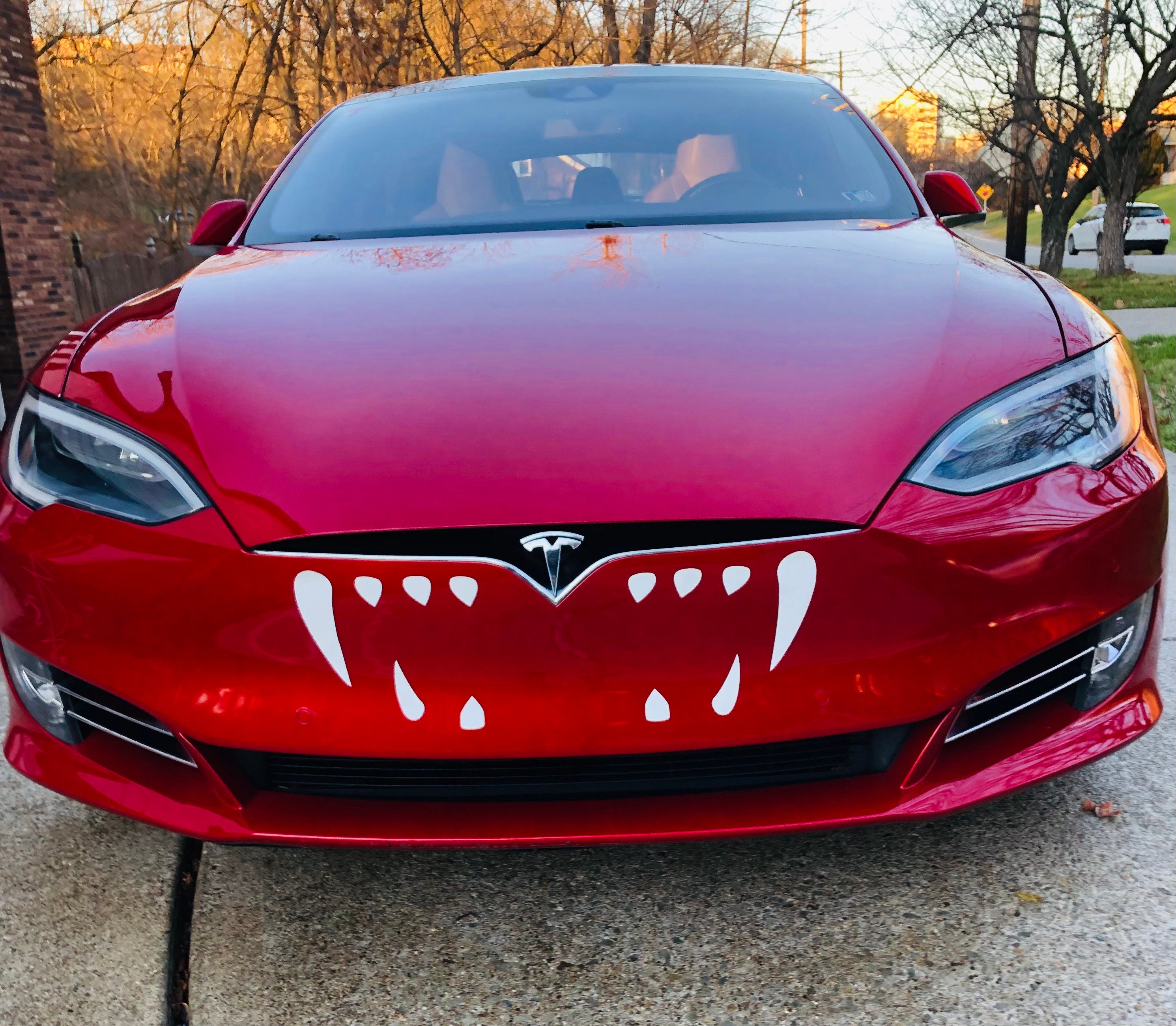 Tesla Model S, 3, X, Y Halloween Teeth Fangs Stickers Appliqué for ...