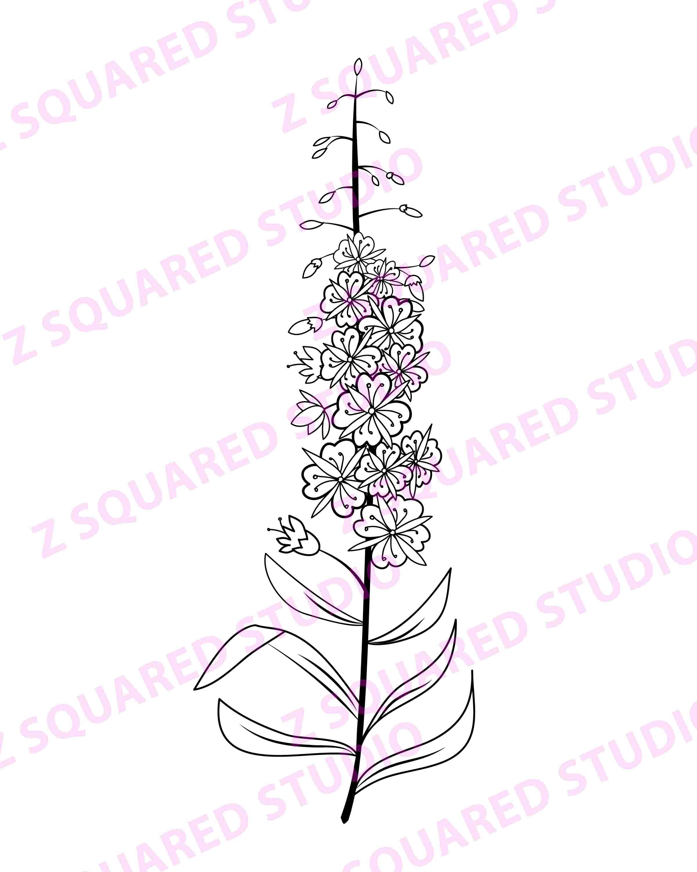 Alaska Wildflower Printable Wall Art Set of 3 Prints Digital - Etsy