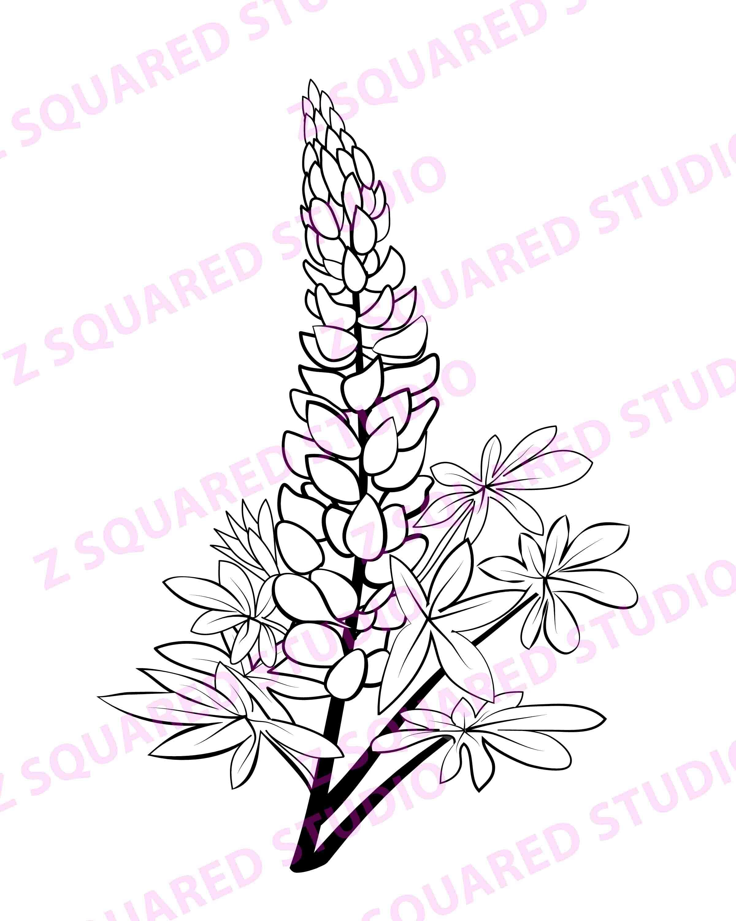 Alaska Wildflower Printable Wall Art Set of 3 Prints Digital - Etsy