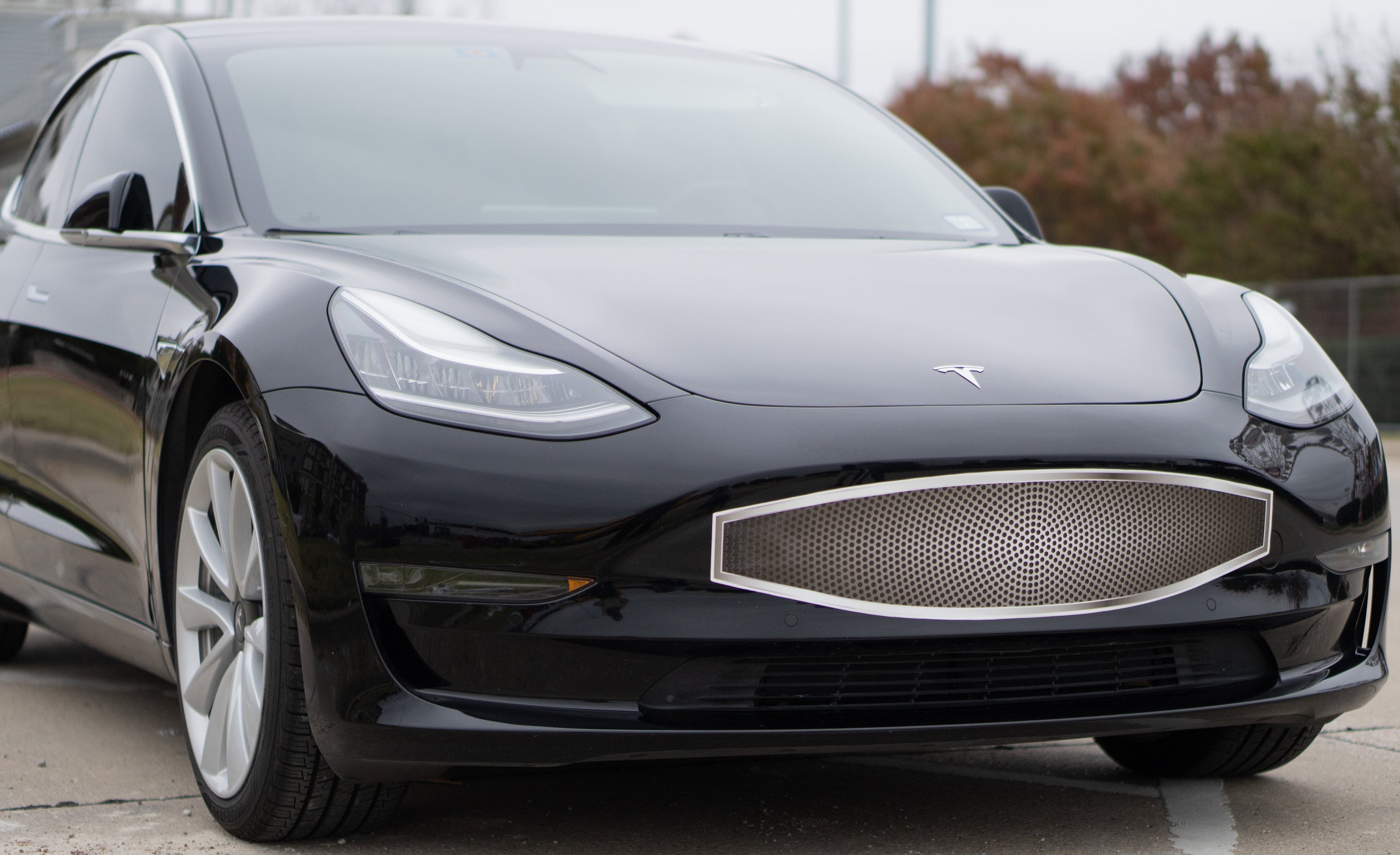 Vehicle Decal for the Tesla Model 3 or Model Y Car Front Bumper, Grill ...