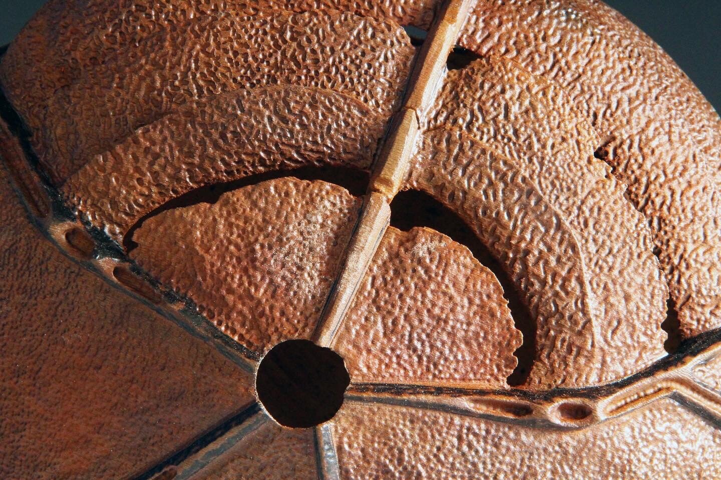 Guardian of the Seas - Etsy