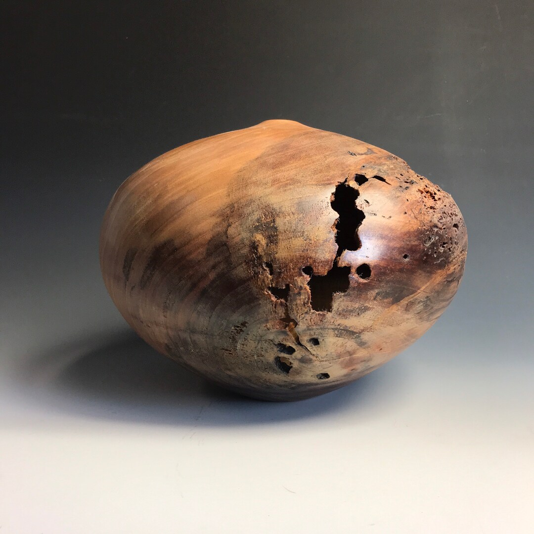 Decorative Wooden Vase Delicate Cherry Tree Eaten Away by - Etsy