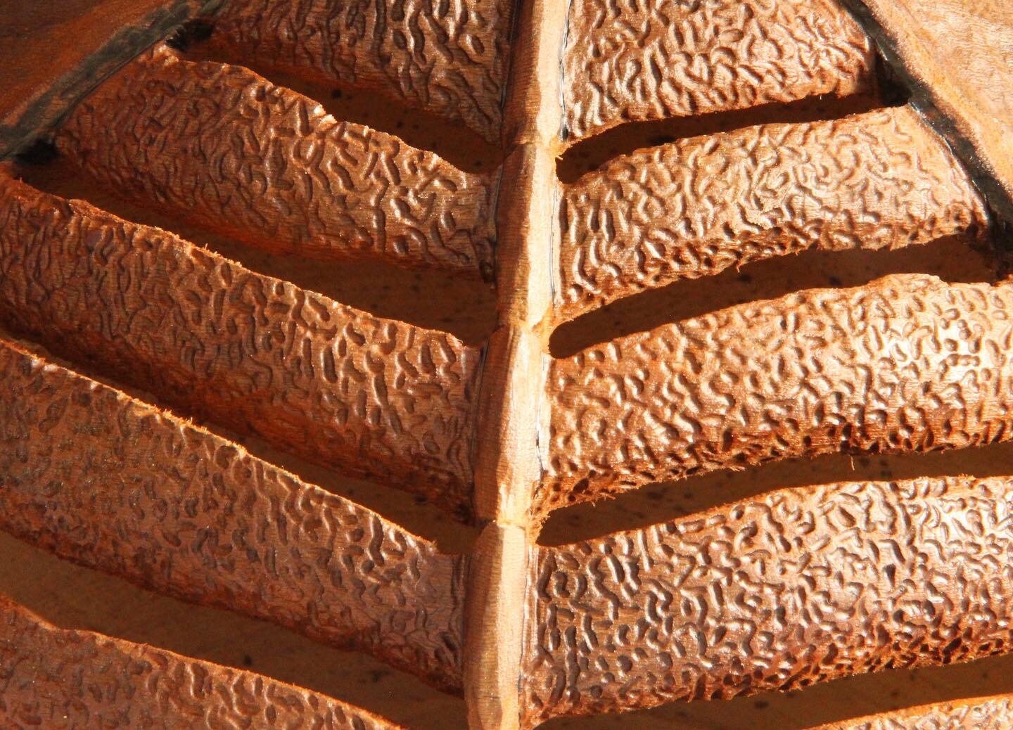 Guardian of the Seas - Etsy