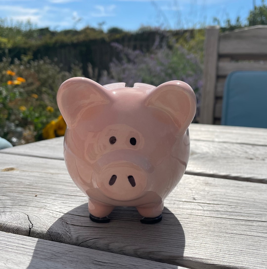 Lightest Pink Piggy Bank. Hand Painted Ceramic Traditional - Etsy