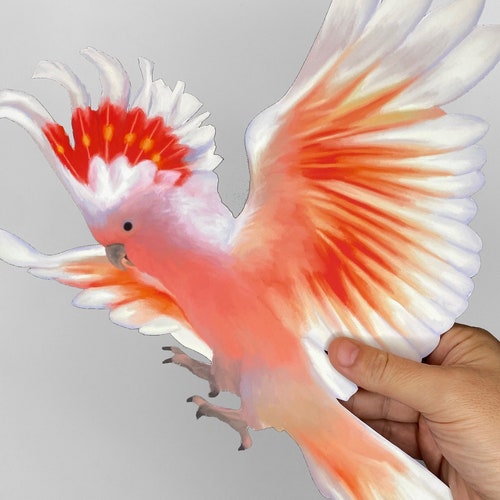 Cockatoo Decal Flying Cockatoo Australian Themed Nursery - Etsy
