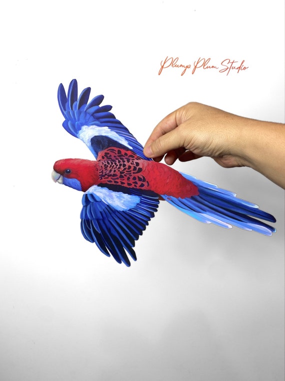 Crimson Rosella Flying