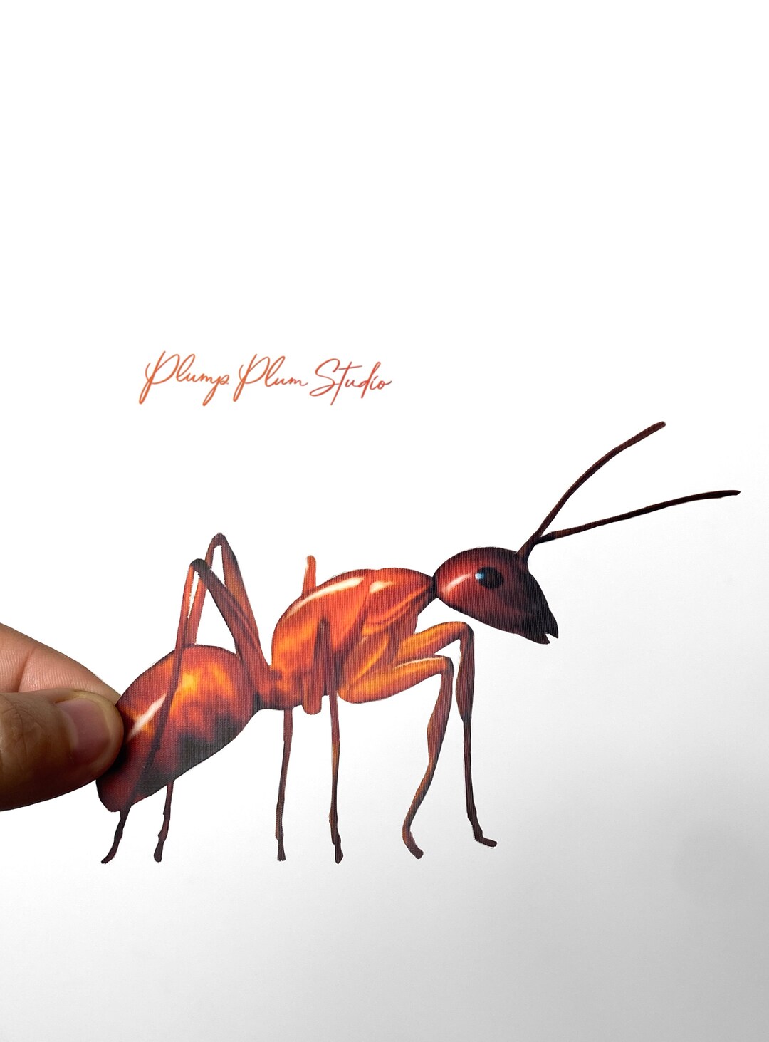 Realistic Ant Decal, Indoor/outdoor Vinyl Ant Sticker, Unique Cute ...