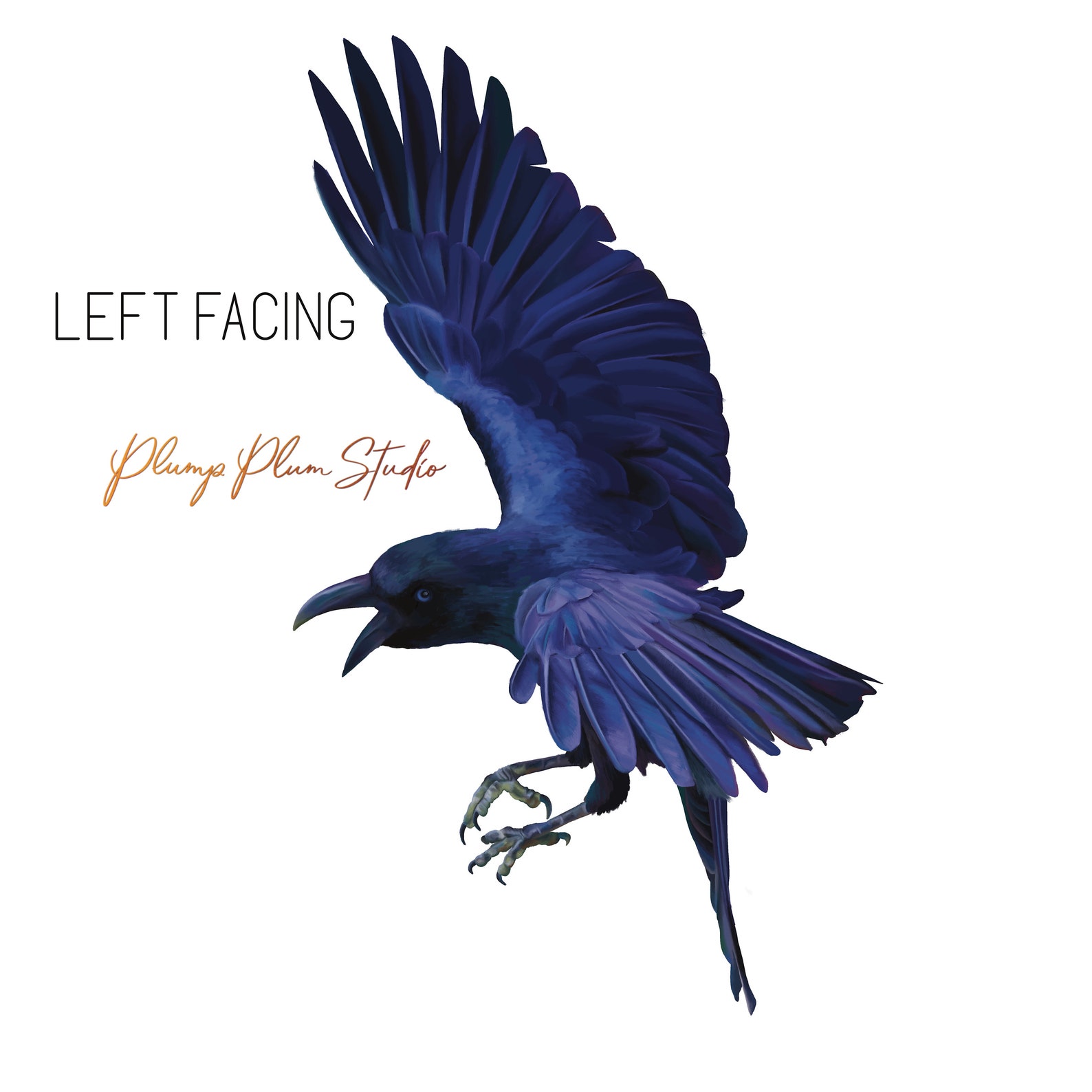 Crow Decal Flying Raven Vinyl Decal Bird Lover Gift - Etsy