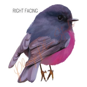 Pink Robin Decal, Pink Robin Vinyl Sticker, Peel/stick, Light Switch ...