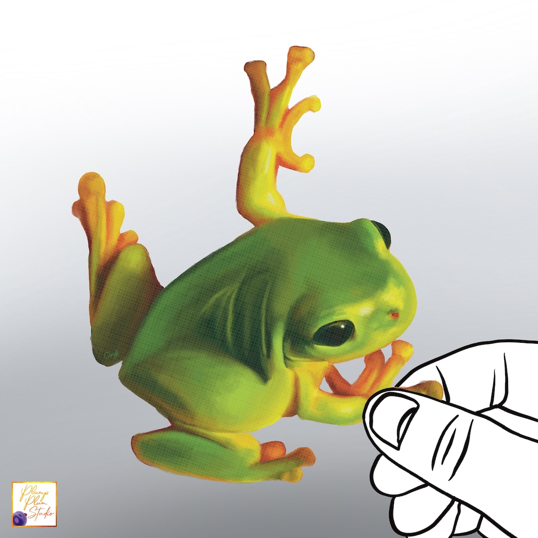 Australian Green Tree Frog Decal, Illustrated Frog Sticker, Frog Art ...