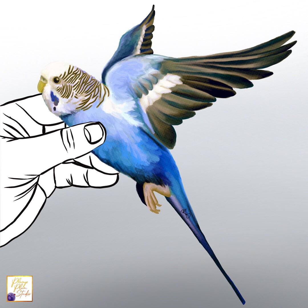 Flying Blue Budgie Decal, Australian Blue/white Budgie Sticker, Light ...