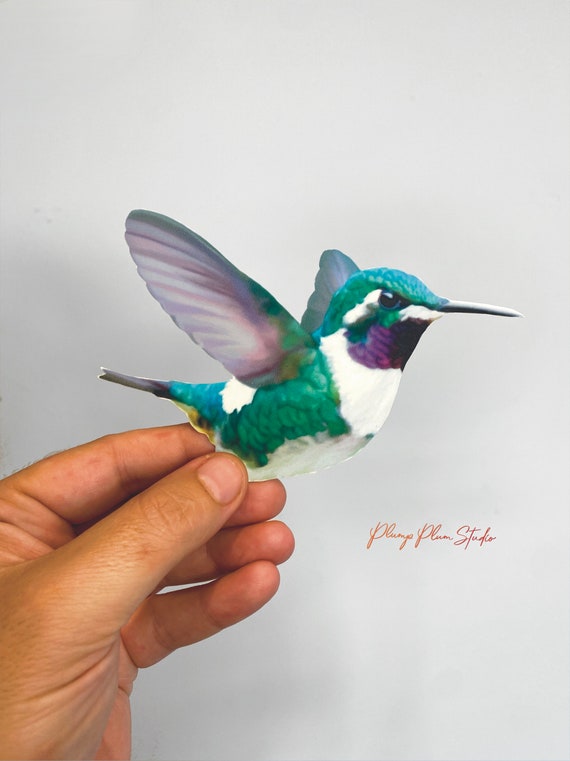 Hummingbird Decal Hummingbird Sticker Peel and Stick Light | Etsy