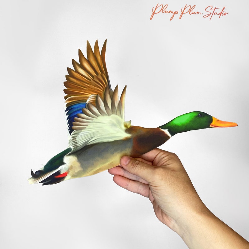 Duck Decals - Etsy