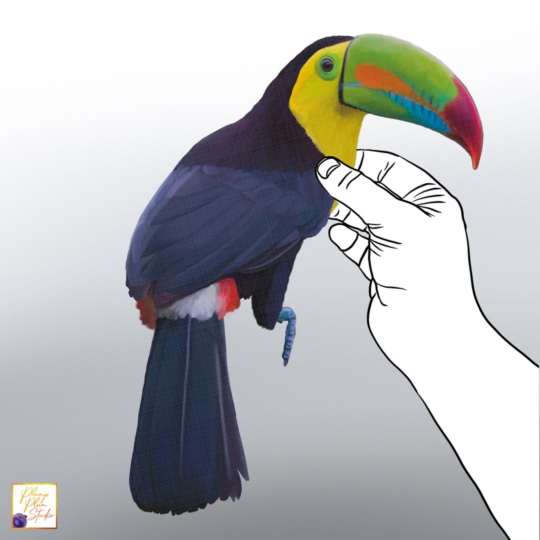 Colourful Toucan Sticker, Realistic Toucan Bird Decal, Bird Lover Gift ...