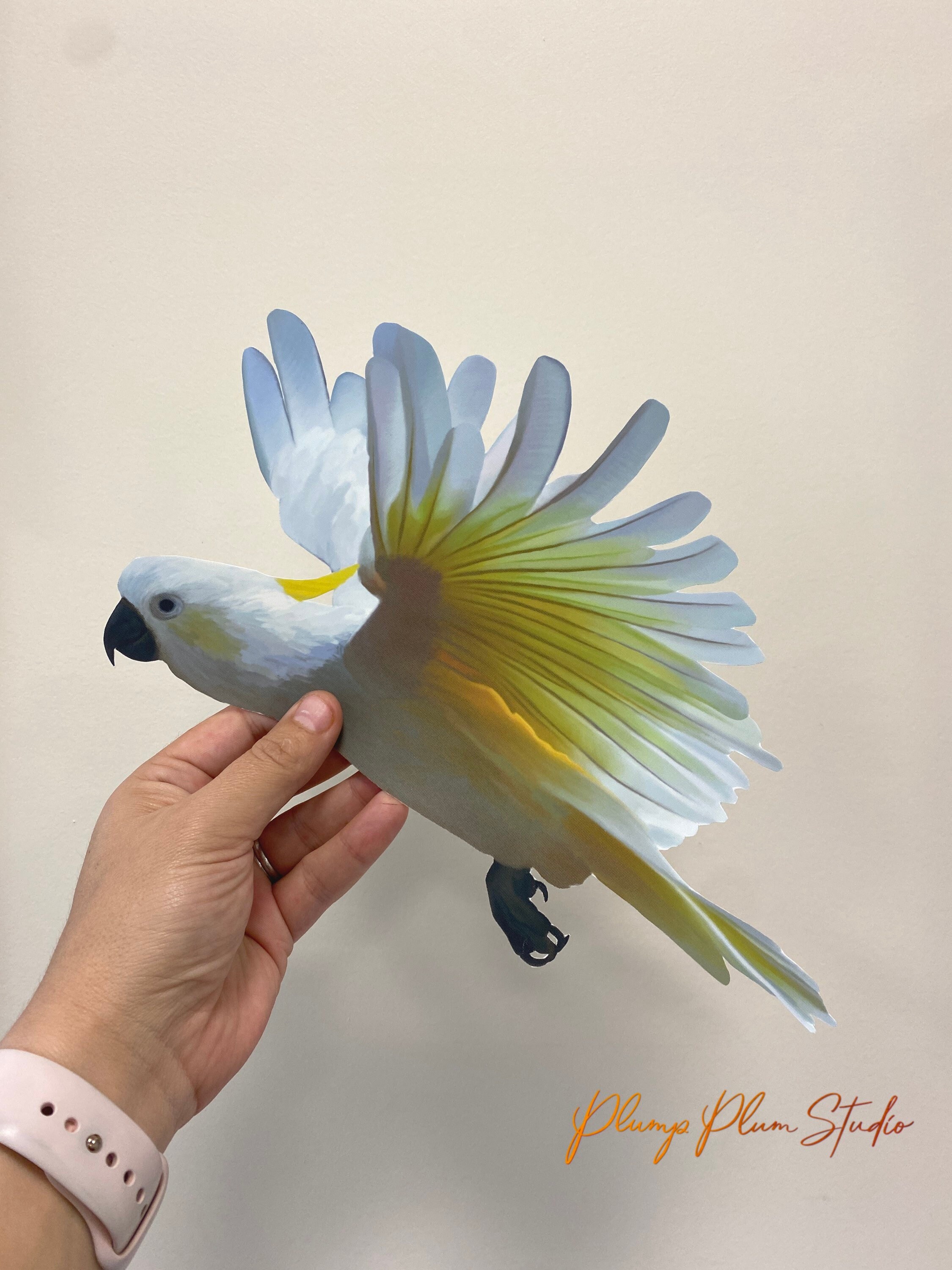 Cockatoo Decal Flying Cockatoo Australian Themed Nursery - Etsy