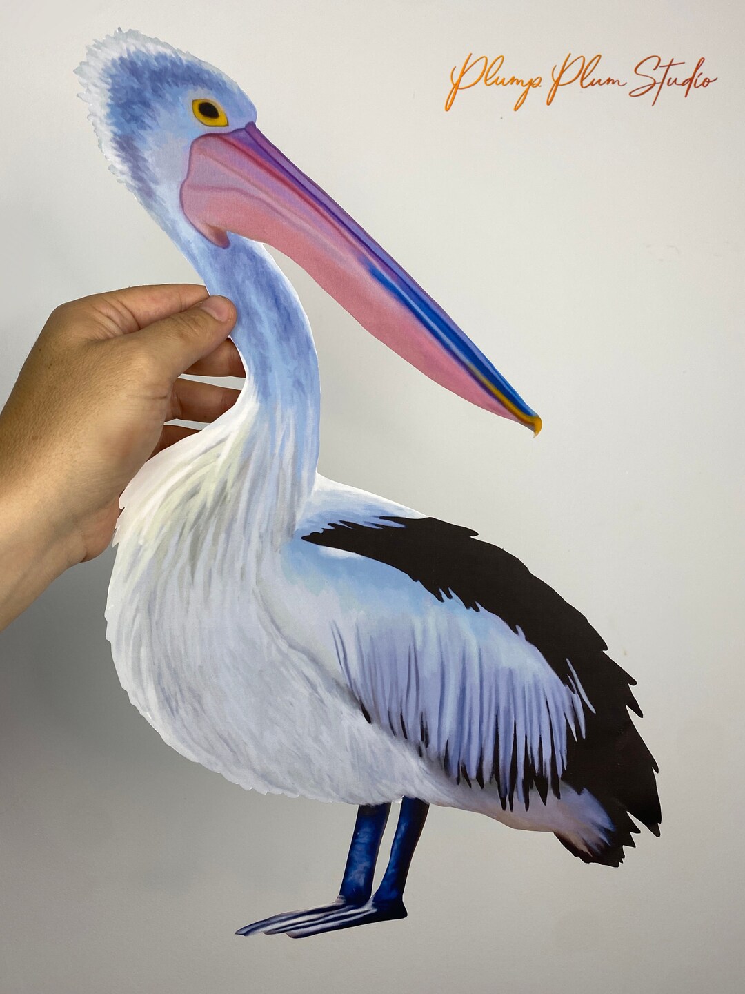 Realistic Pelican Decal, Indoor/outdoor Vinyl Repositionable Textured ...