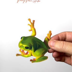 Australian Green Tree Frog Decal, Illustrated Frog Sticker, Frog Art ...