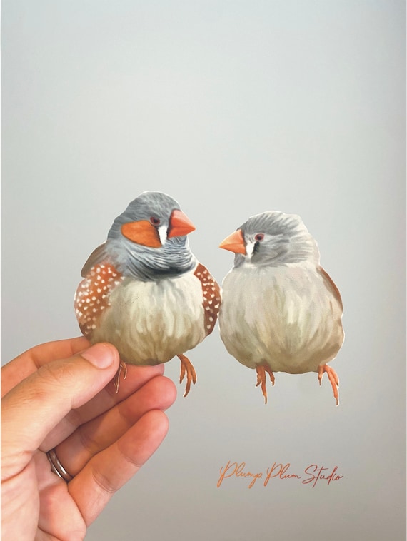 Zebra Finch Pair Decal Australian Finches Sticker Peel and - Etsy Australia