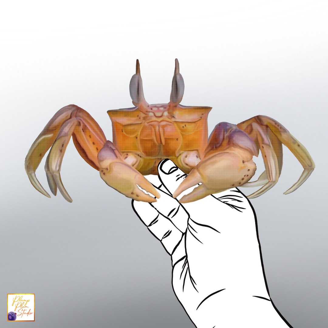 Ghost Crab Decal, Crab Sticker, Peel/stick, Light Switch Decal, Cute ...