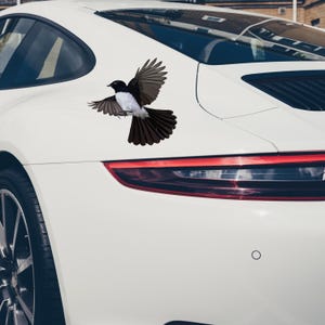 Australian Willie Wagtail Decal, Willy Wag Tail Textured Vinyl Sticker ...