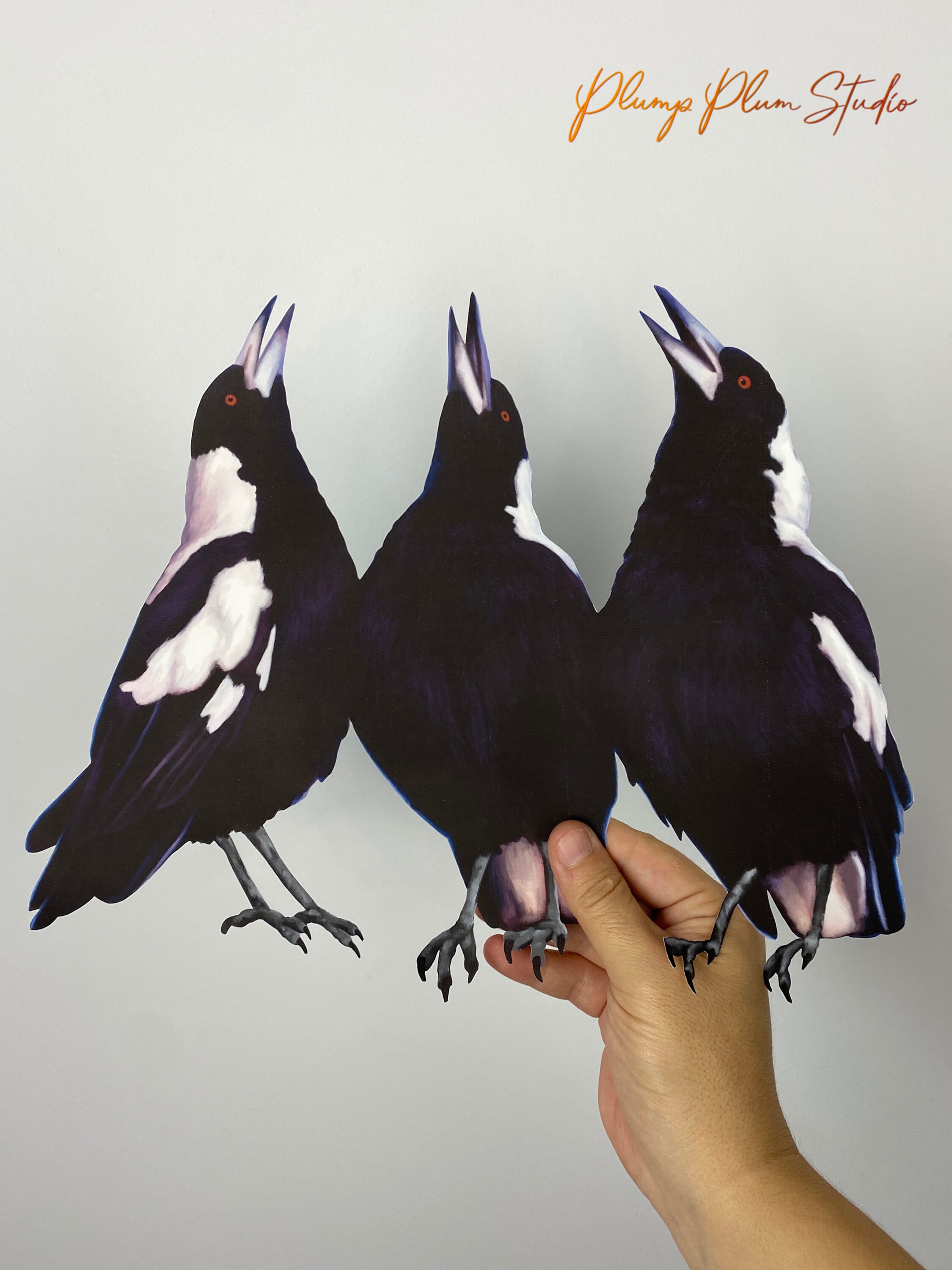Warbling Magpies Decal Australian Trio Magpies Sticker Bird - Etsy