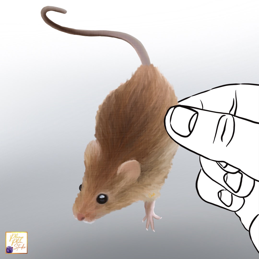 Realistic Brown Mouse Decal, Illustrated House Mouse, Vinyl Mouse ...