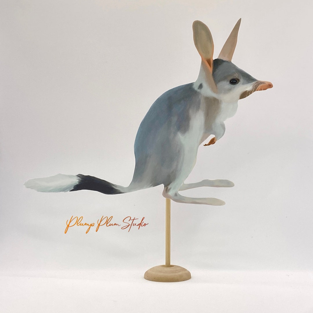 Bilby Decal, Australian Animal Marsupial, Australian Nursery Art, Vinyl ...