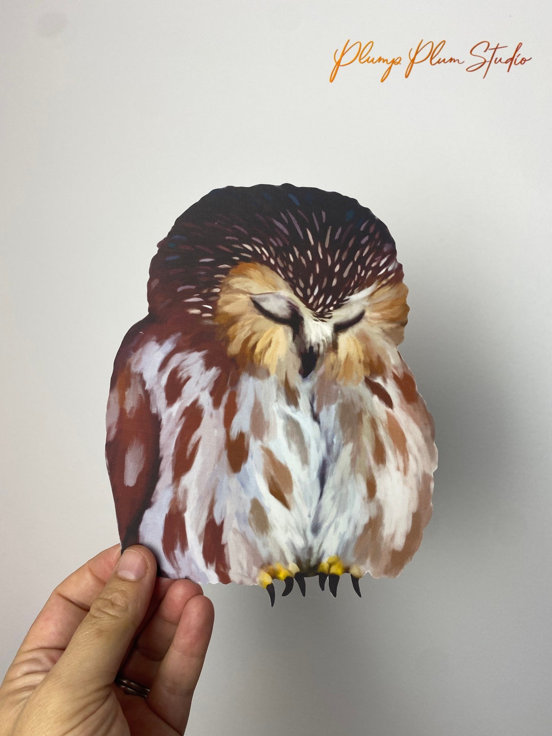 Sleeping Owl Decal, Realistic Owl Decal, Bird Lover Gift, Car Sticker ...
