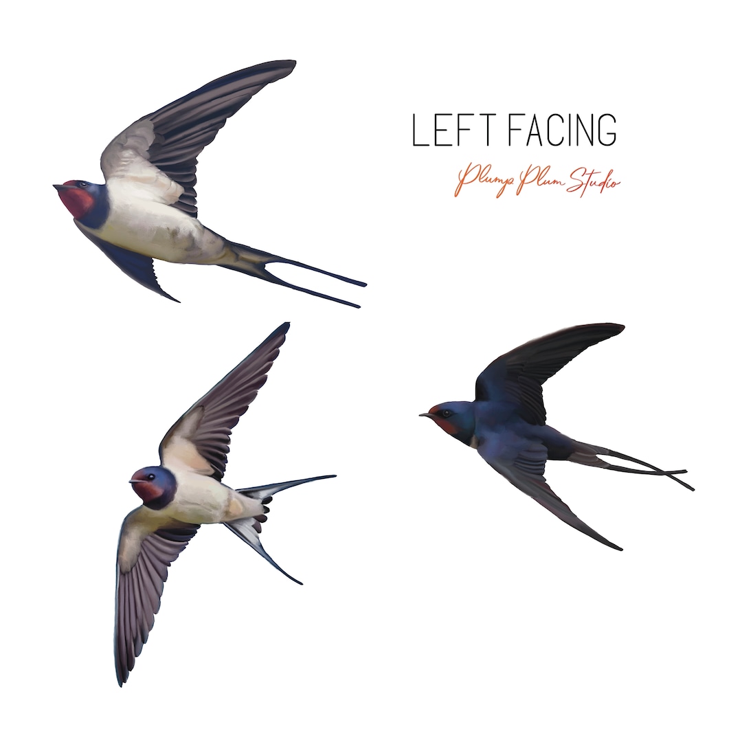 Swallow Bird Decals: Set of 3 Realistic Fabric Textured Vinyl Stickers ...