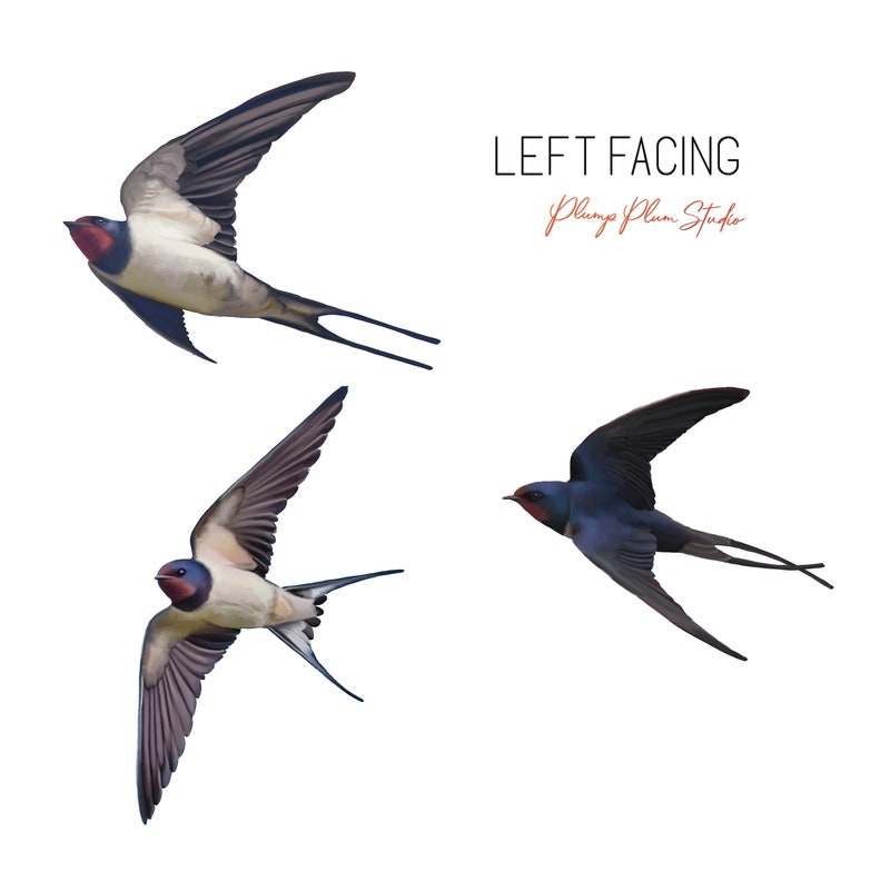 3d Ceiling Wallpaper - Etsy