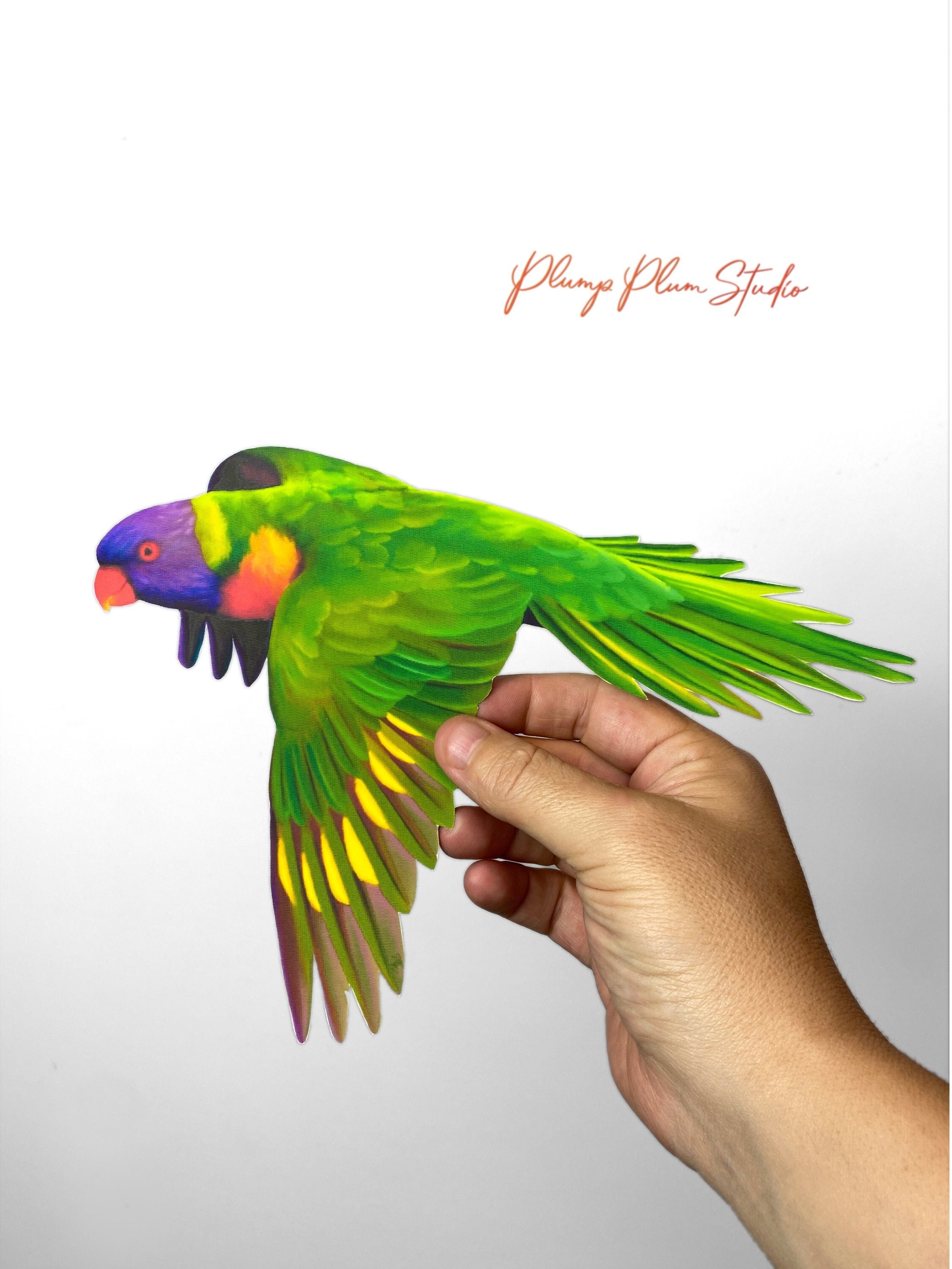 Rainbow Lory Flying