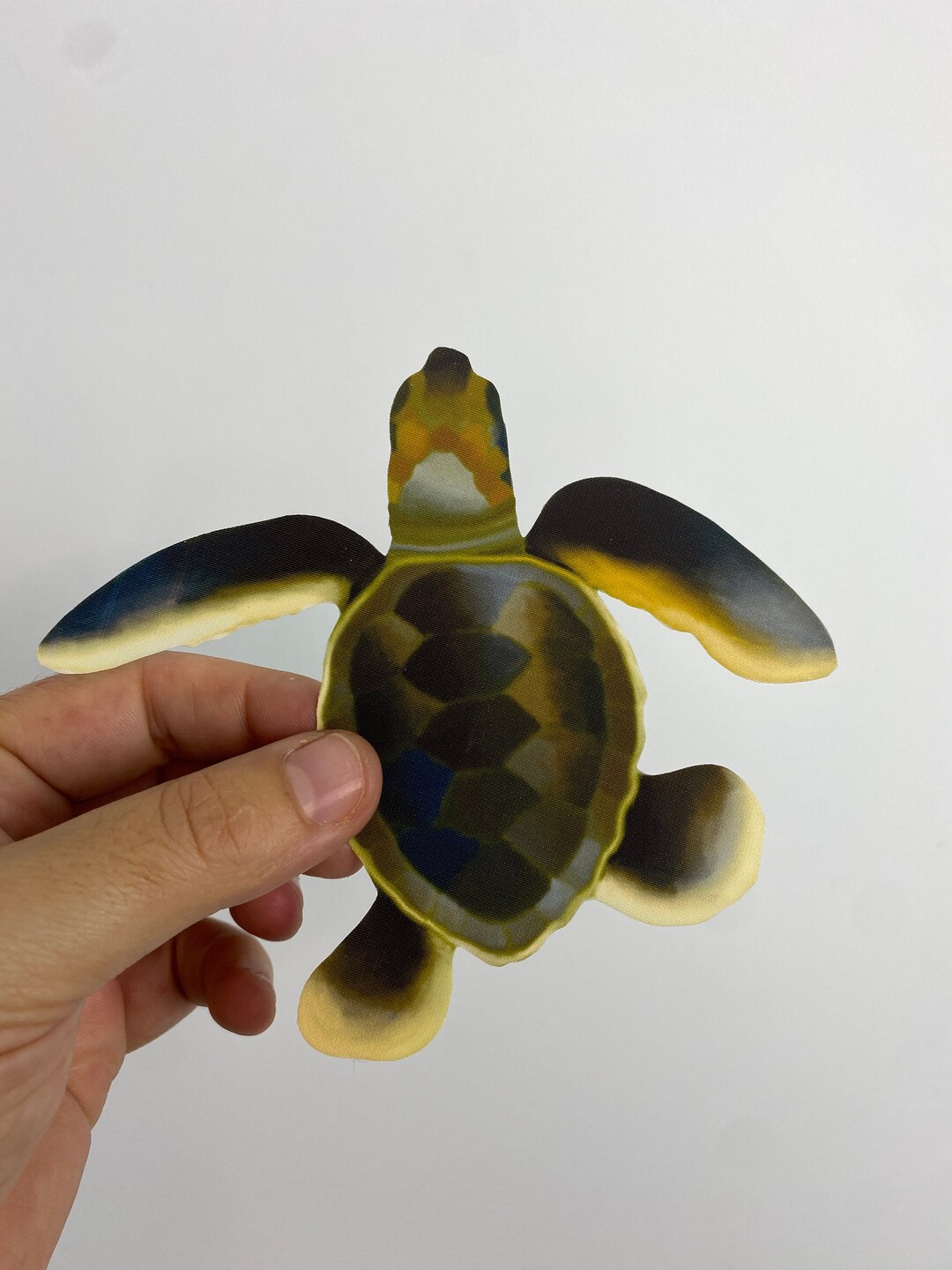 Baby Sea Turtle Decals (bundle of 5), Realistic Sea Turtle Stickers ...