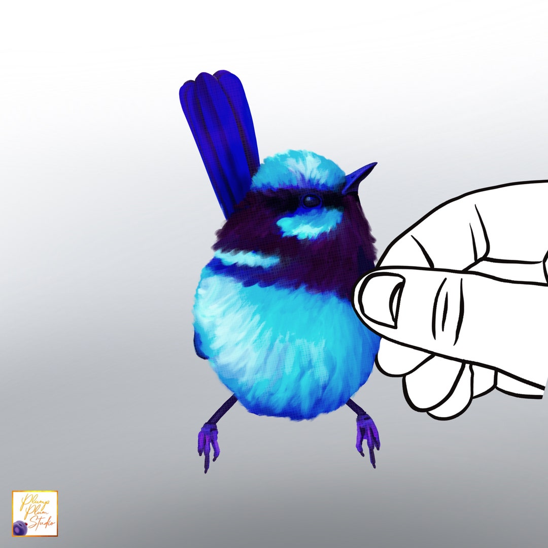 Superb Fairy Blue Wren Decal, Australian Blue Wren Sticker, Bright Blue ...