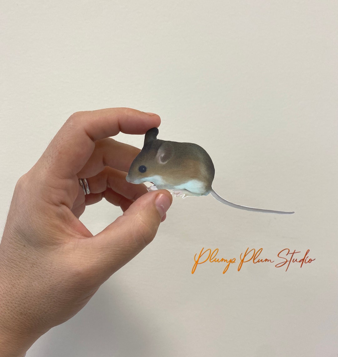 Realistic Mouse Decal, Indoor/outdoor Vinyl Illustrated Mouse Decal ...